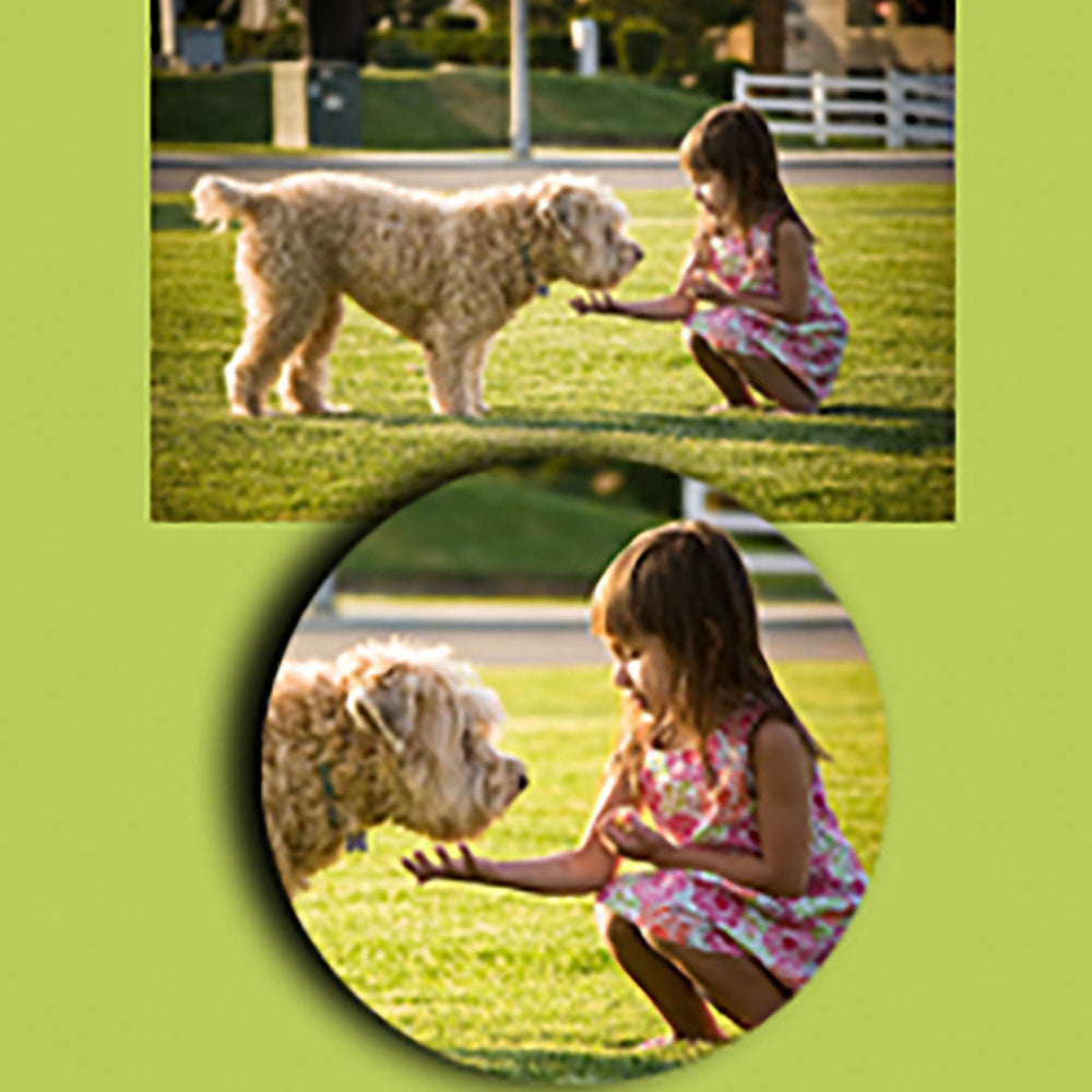 SHOP COLLECTIONS – Little Windows Brilliant Resin and Supplies